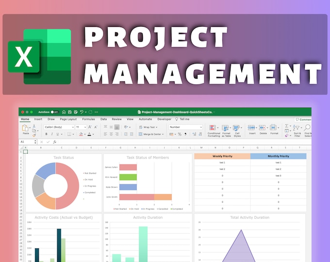 Project Management Dashboard Excel Template | Automatic Dashboard ...