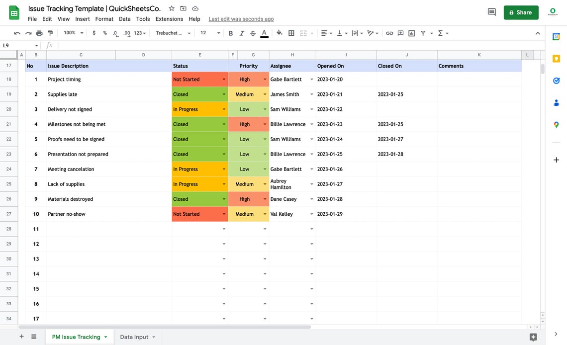 Issue Tracker Template Google Sheets Track Project - Etsy Canada