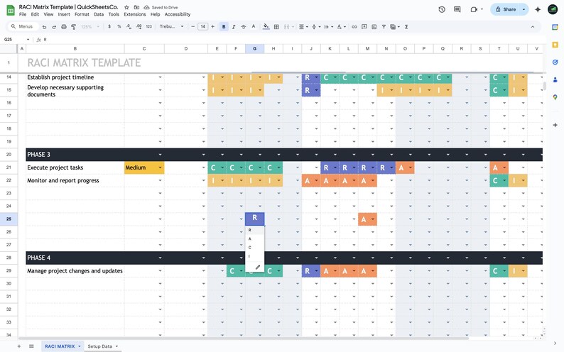 RACI Matrix | Google Sheets Template | RACI Chart | Responsibility ...