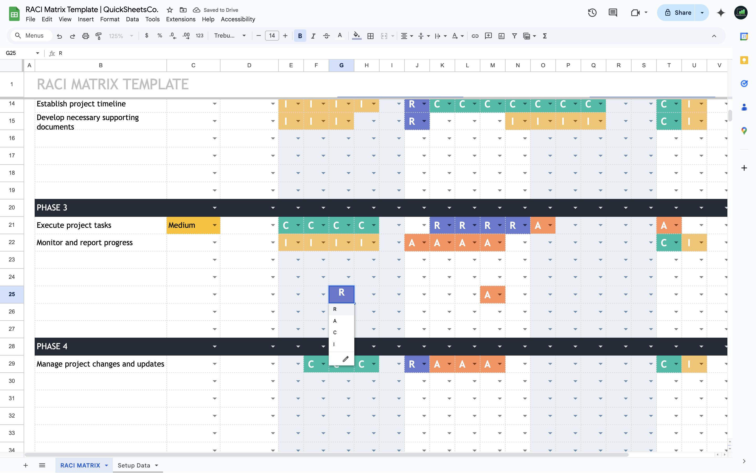 RACI Matrix | Google Sheets Template | RACI Chart | Responsibility ...