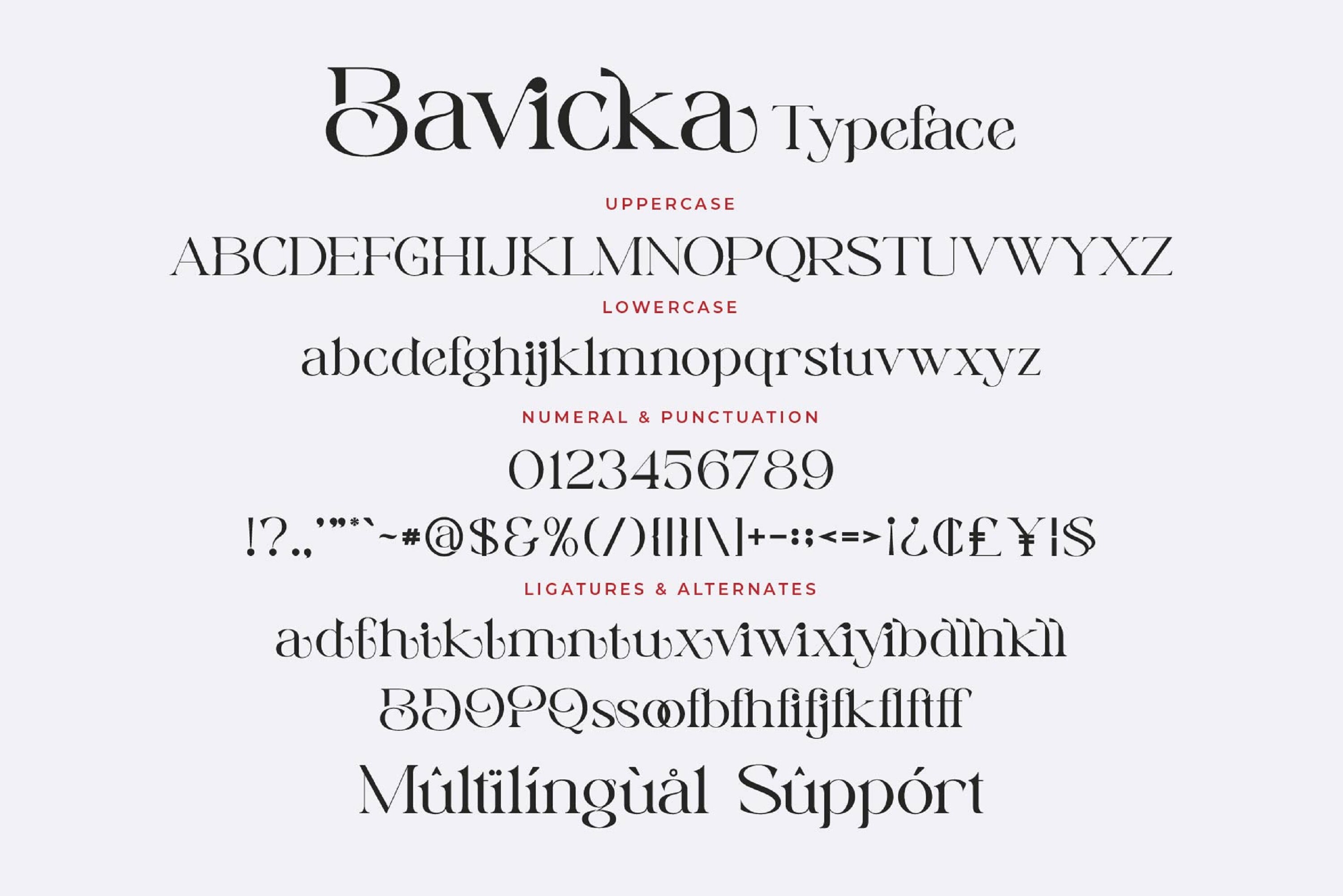 Bavicka Font - Serif Font, Modern Font, Boho Font, Branding Font, Swash ...