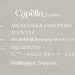 Capella Font - Serif Font, Modern Font, Boho Font, Branding Font, Swash ...