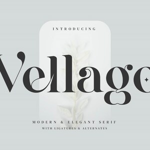 Vellago Font Serif Font, Modern Font, Boho Font, Branding Font, Swash ...