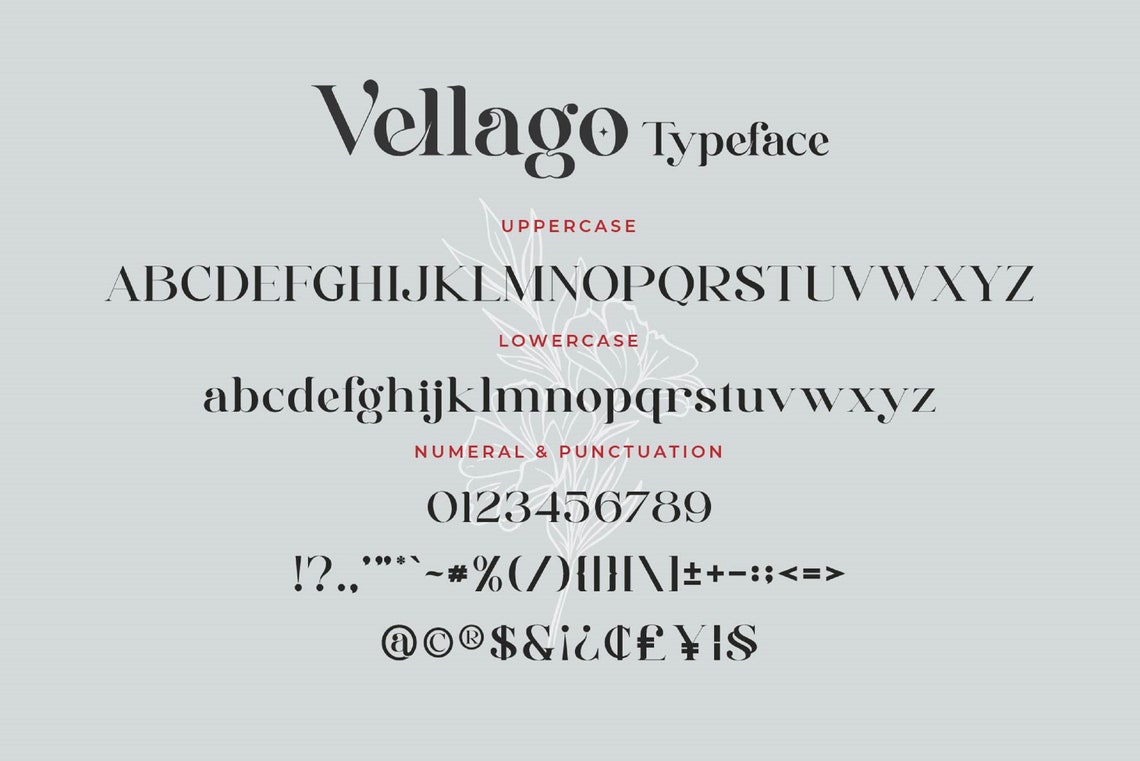 Vellago Font Serif Font, Modern Font, Boho Font, Branding Font, Swash ...