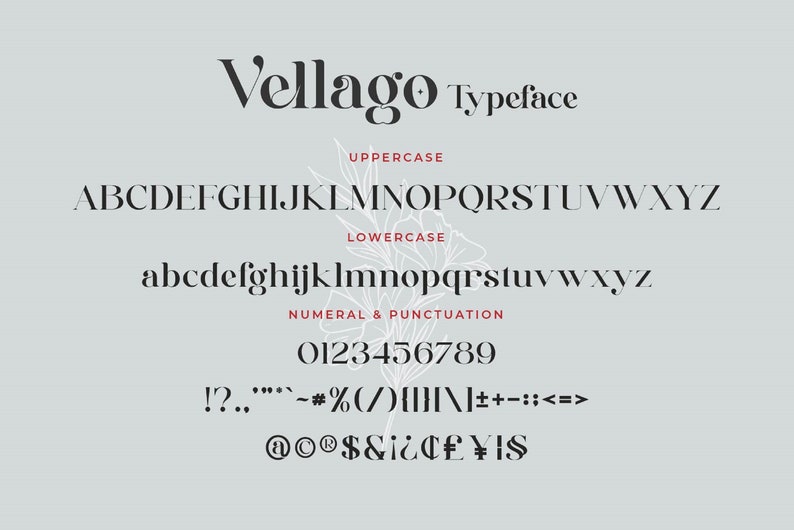 Vellago Font Serif Font, Modern Font, Boho Font, Branding Font, Swash ...