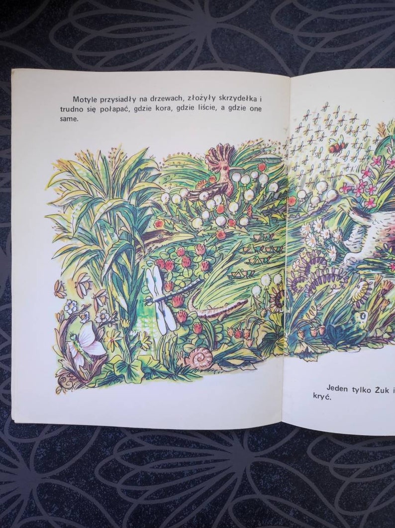 Polish Language, Pierwsze Polowanie, First Hunting, Short Story for ...