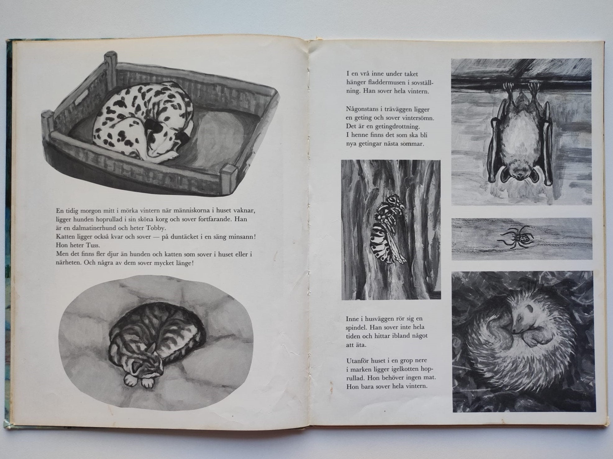 Swedish, Djuren Kring Vårt Hus, Inga Borg, Children's Picture Book ...