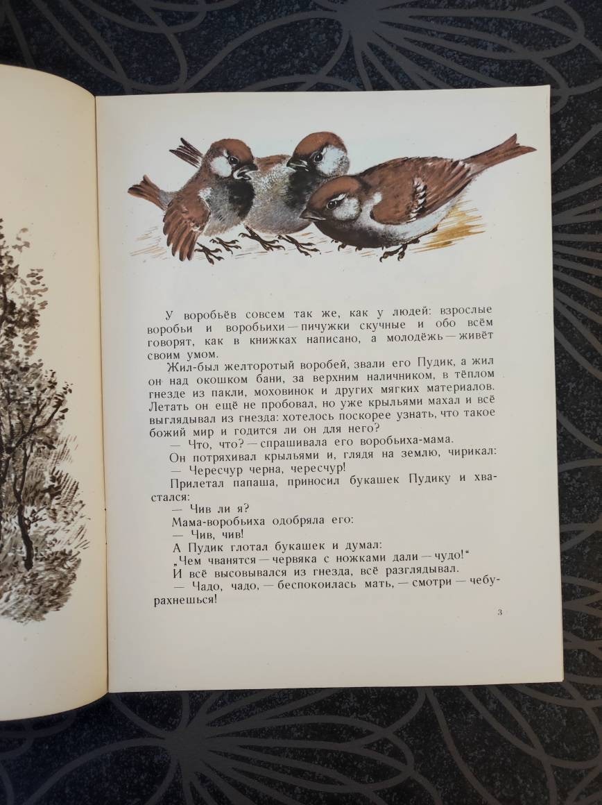Russian Language, Illustrated Book About Birds, Children's Book, Little ...