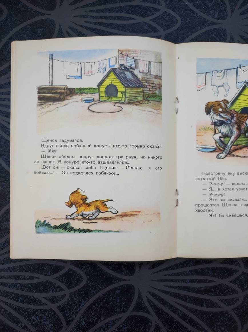 Russian Language, Illustrated Book, Russian Book, Short Stories for ...