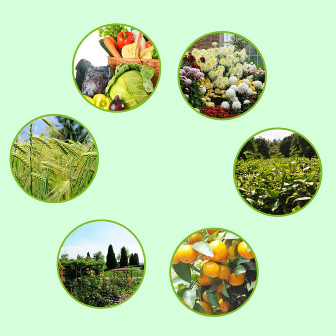 Nature's Dream Ranch Worm Castings Organic Soil Supplement - Perfect ...