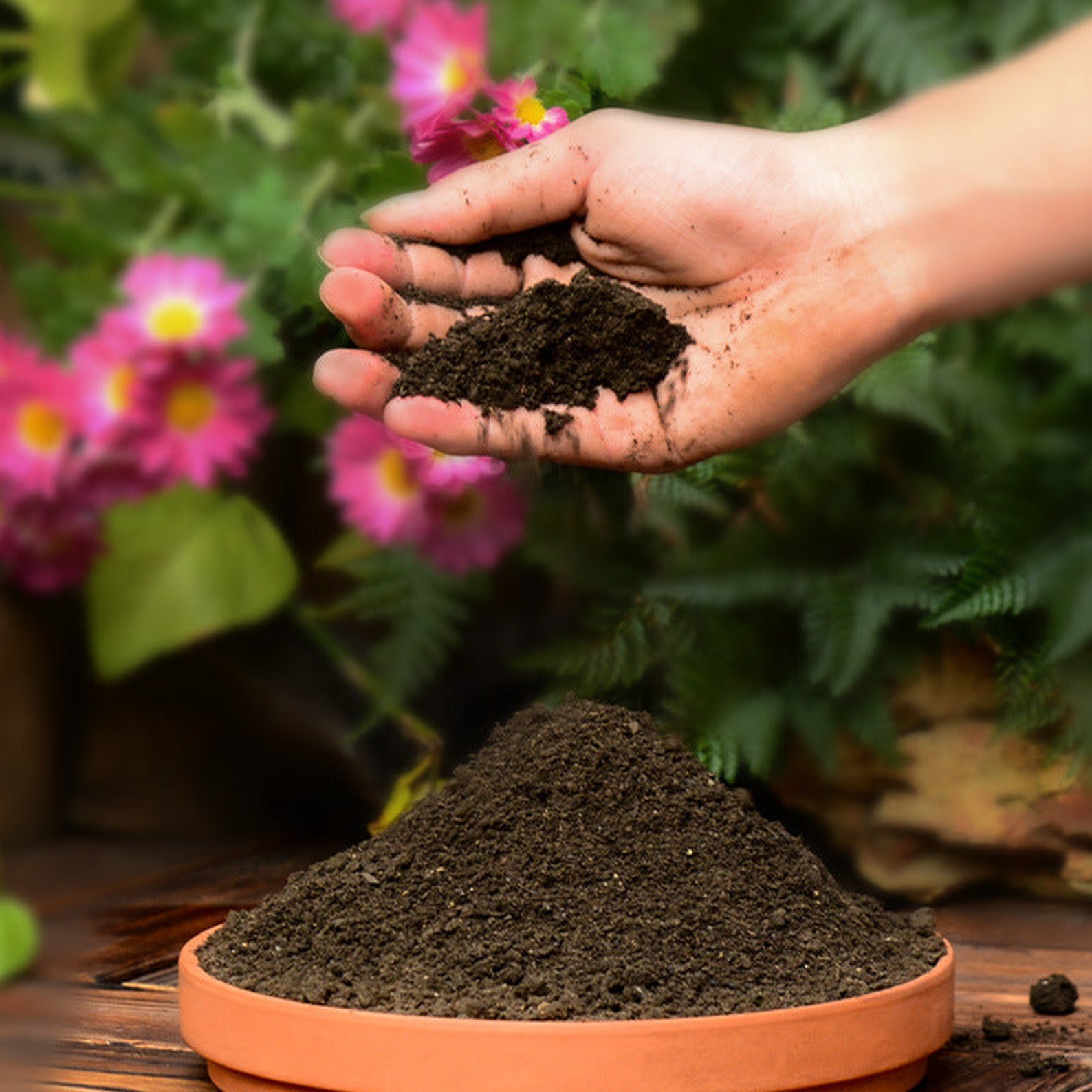 Nature's Dream Ranch Worm Castings Organic Soil Supplement - Perfect ...