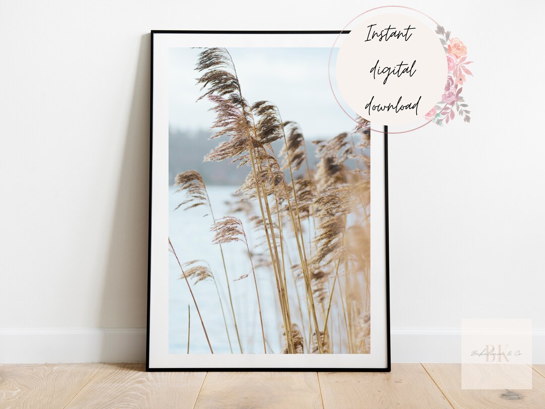 Pampas Grass PRINTABLE Art, Reeds Print, Plant Print, DIGITAL Download ...