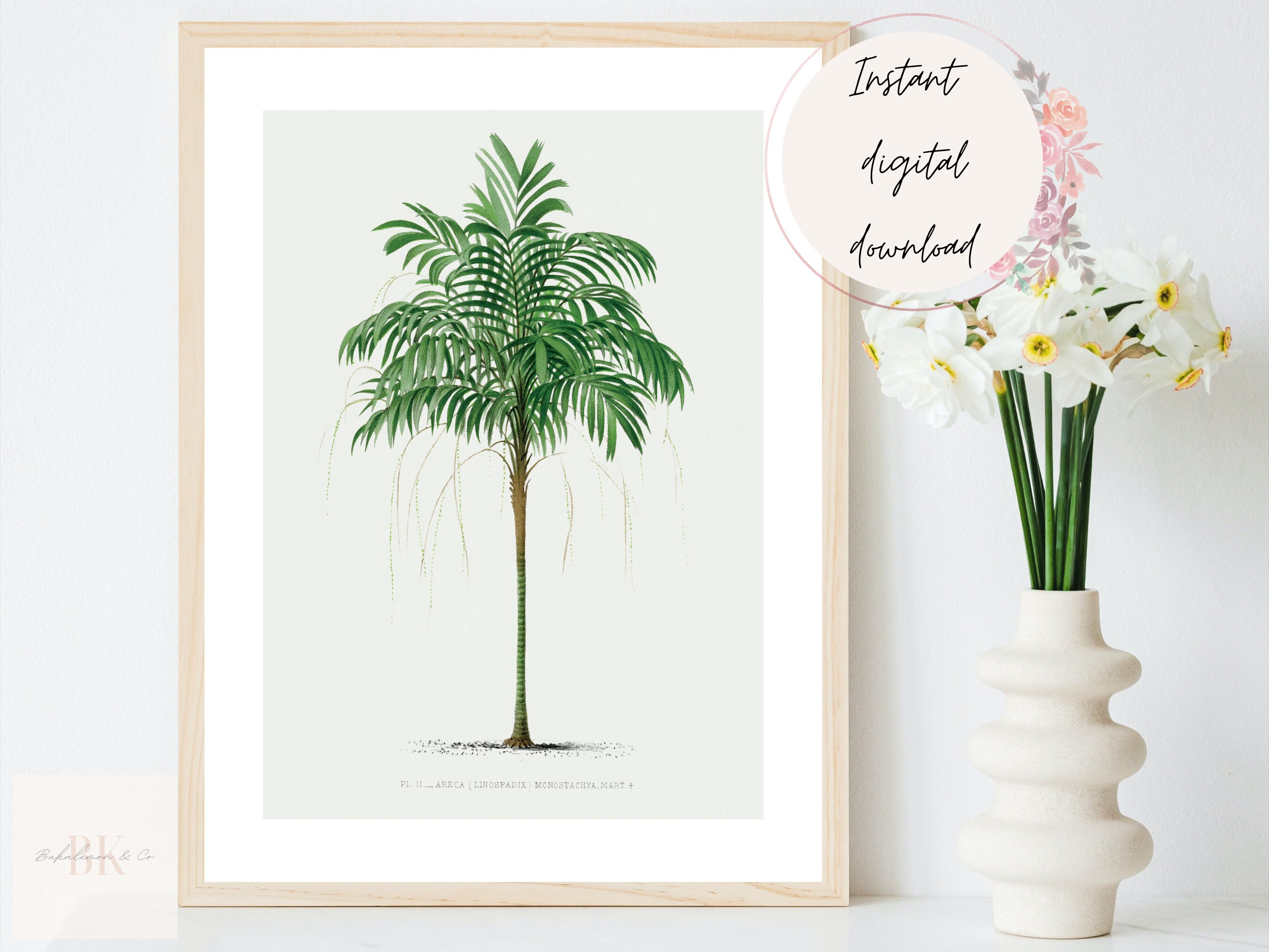 Vintage Botanical Palm Tree Digital Print, Palm Tree Gallery Wall Set ...