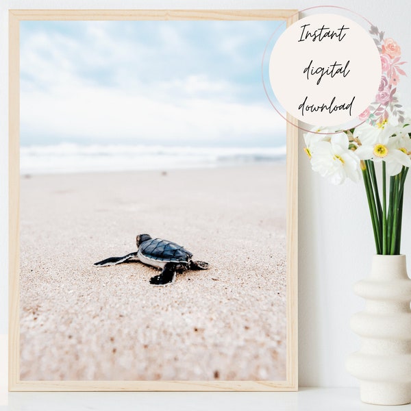 Sea Turtle Poster - Etsy