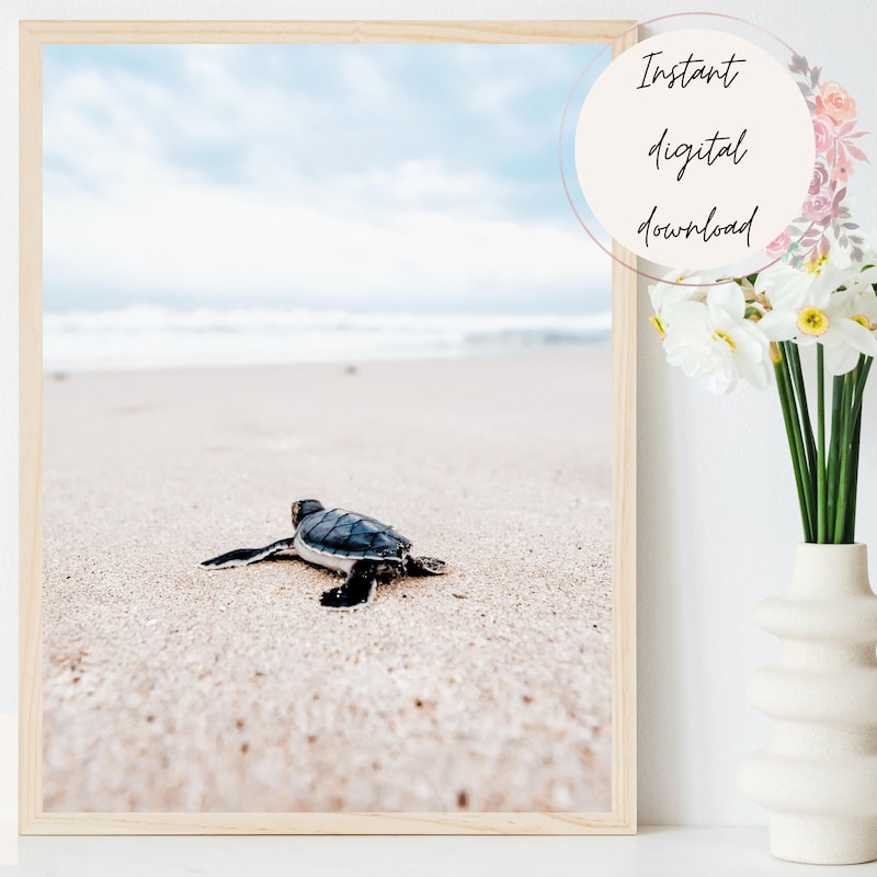 Sea Turtle Art - Etsy