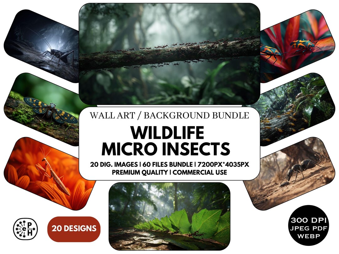 Rainforest Micro Insect Wall Art Bundle, Ants Caterpillars Beetles ...