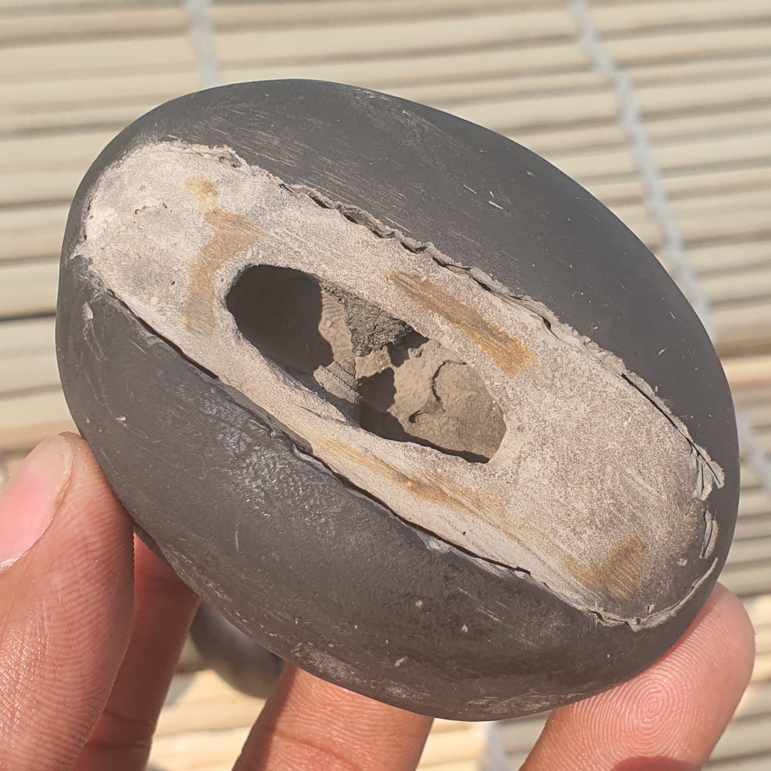 Extremely Rare Narsimha Shaligram, White Brown Shaligram, Religious ...