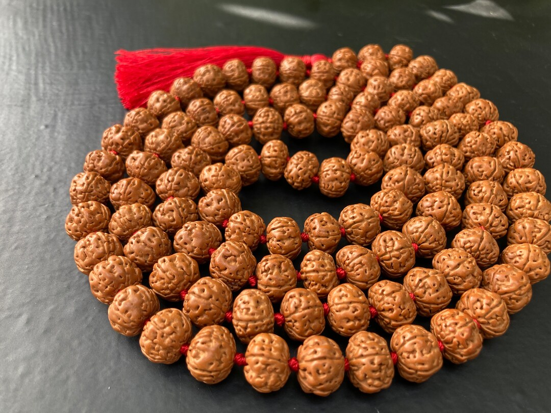Pathri Rudraksha Lab Certified, 13 Mm Indonesian Chikna Rudraksha Mala ...