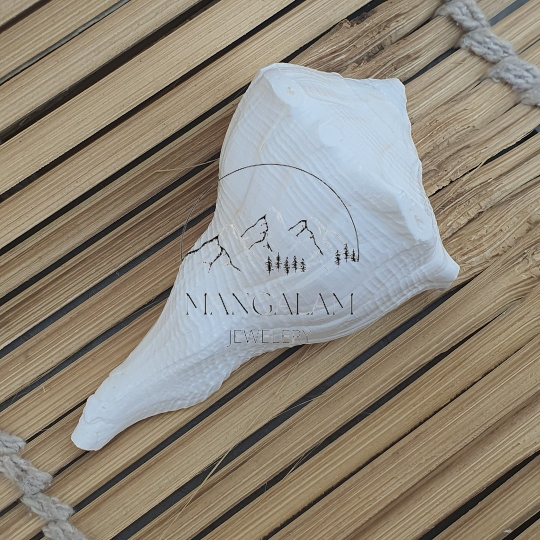 Natural Dakshinavarti Natural Shankh 3.5 Inch, Shri Laxmi Shankh for ...