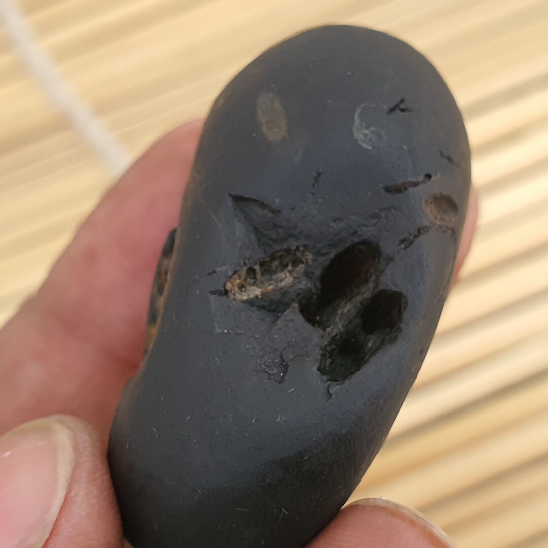 Rare Yellow and White Four Chakra Sita Ram Shaligram, Sita Ram ...