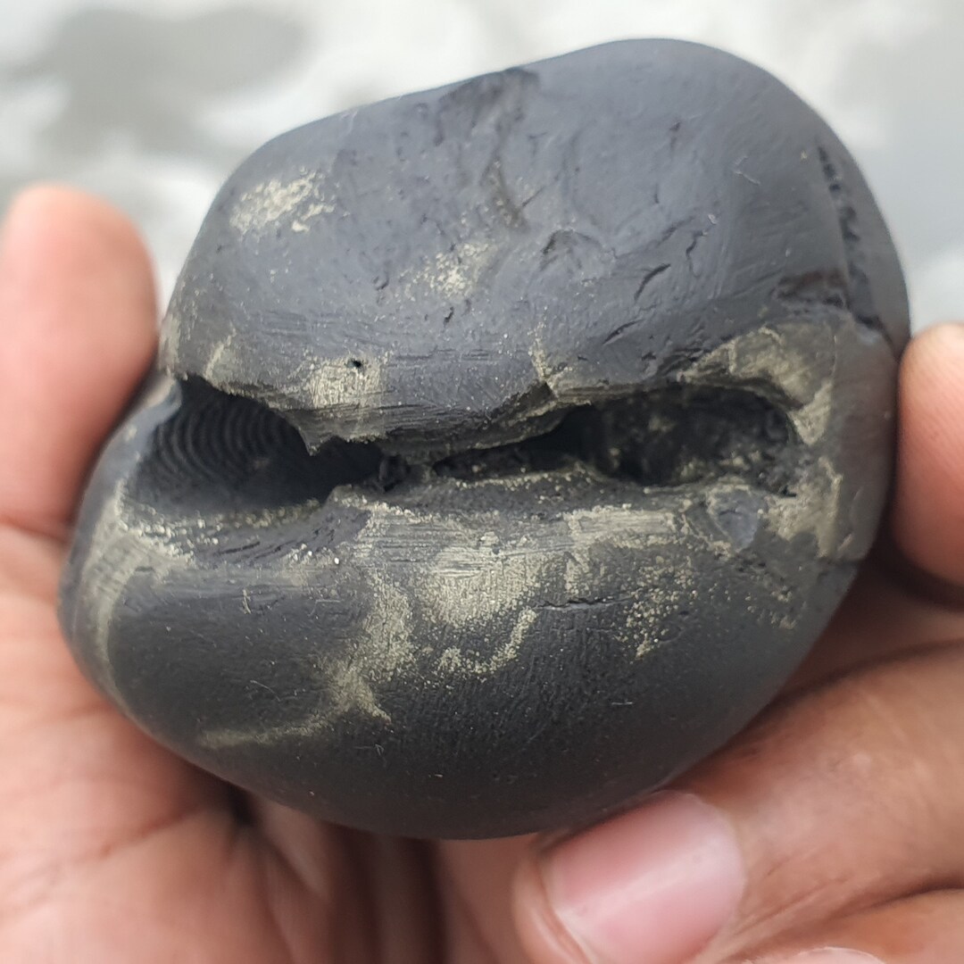 Double Chakra Big Size Golden Narsimha Shaligram Shaligram Shila ...