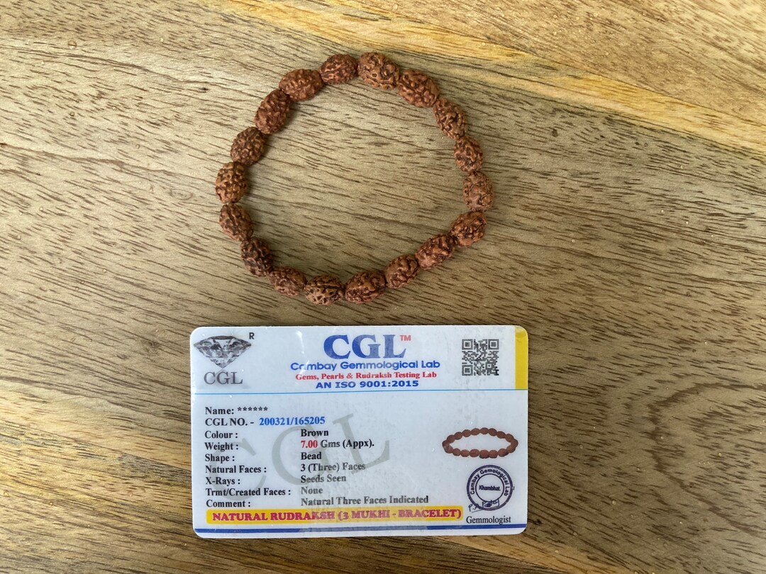 3 Mukhi Rudraksha Bracelet Lab Certified Shiva Bracelet - Etsy