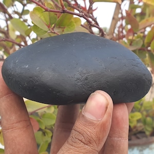 Big Size, Golden, Narsimha Shaligram, Narsimha Saligram Stone Gandaki ...