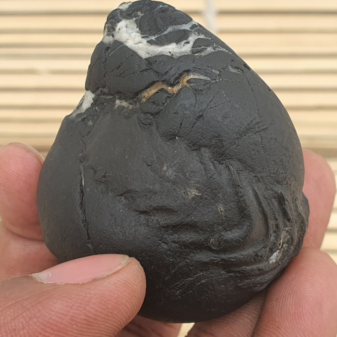 Buddha Shaligram, Saligram Stone Gandaki River Nepal, Auspicious ...