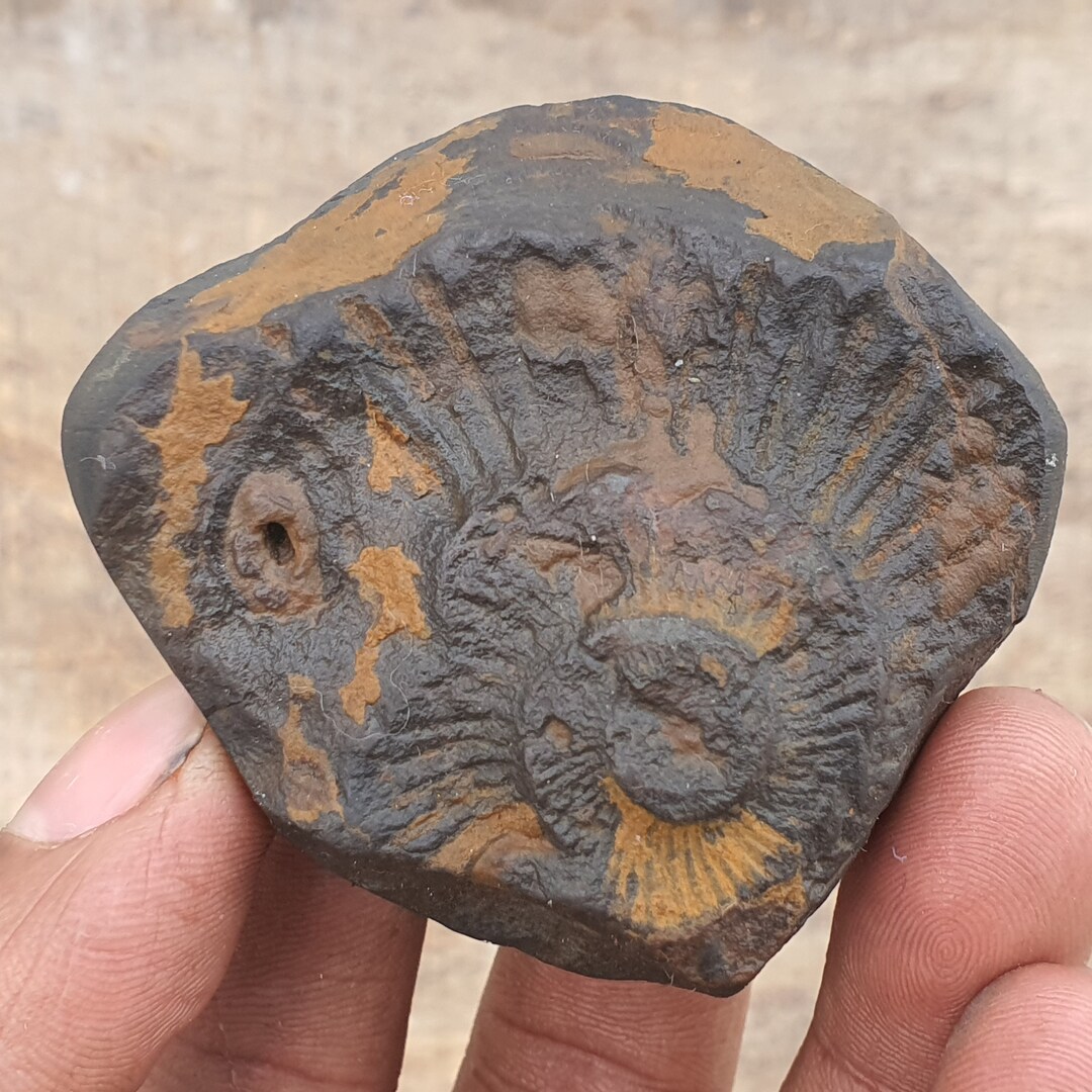 Rare Orange Shade Shaligram, Religious Gifts, Sudarshan Saligram Stone ...