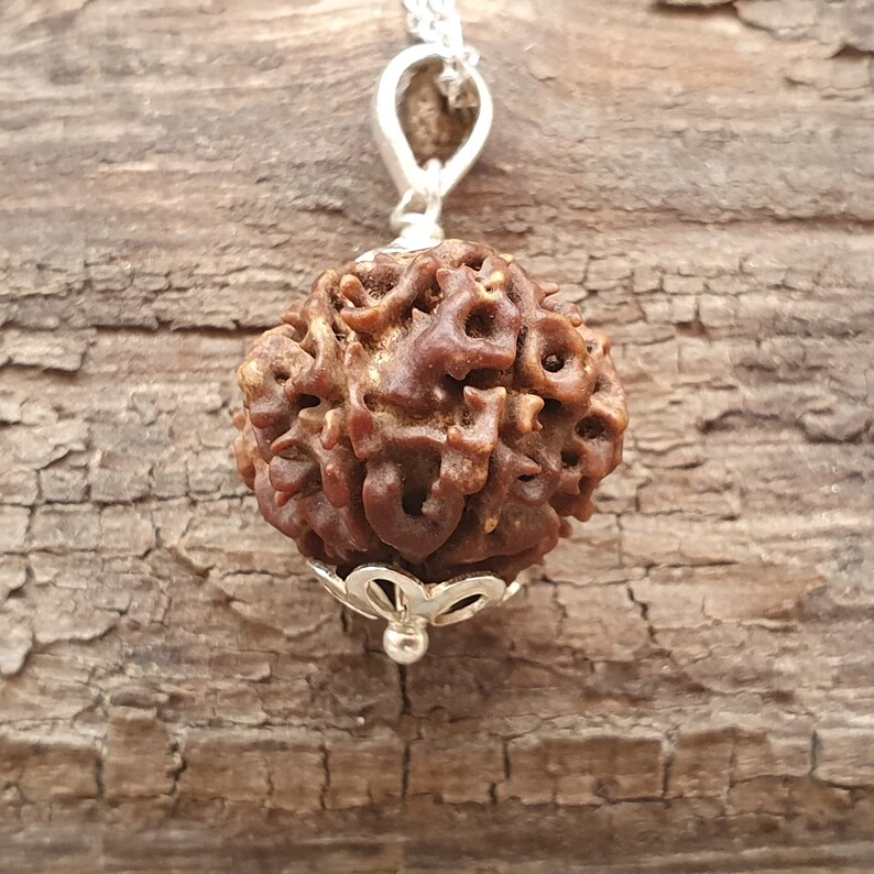 10 Mukhi Nepal Rudraksha Ten Face Lord Vishnu in 925 Silver - Etsy