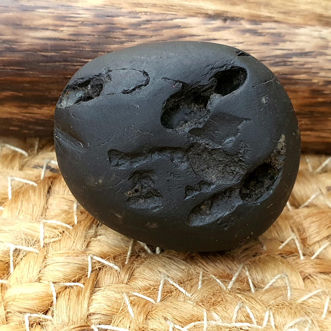 Rare Yellow Six Chakra Narayan Shaligram, Laxmi Narayn Shaligram ...