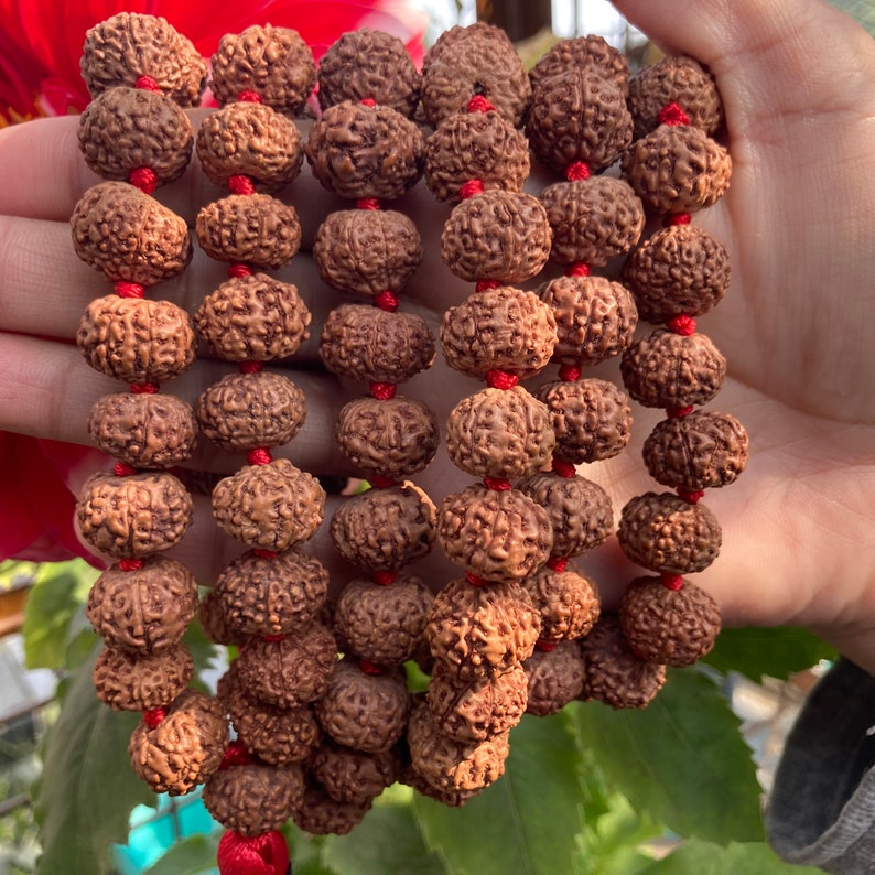 Rare Big 8 Mukhi Rudraksha Mala, 108 Mala Beads, 8 Mukhi Rudraksha ...