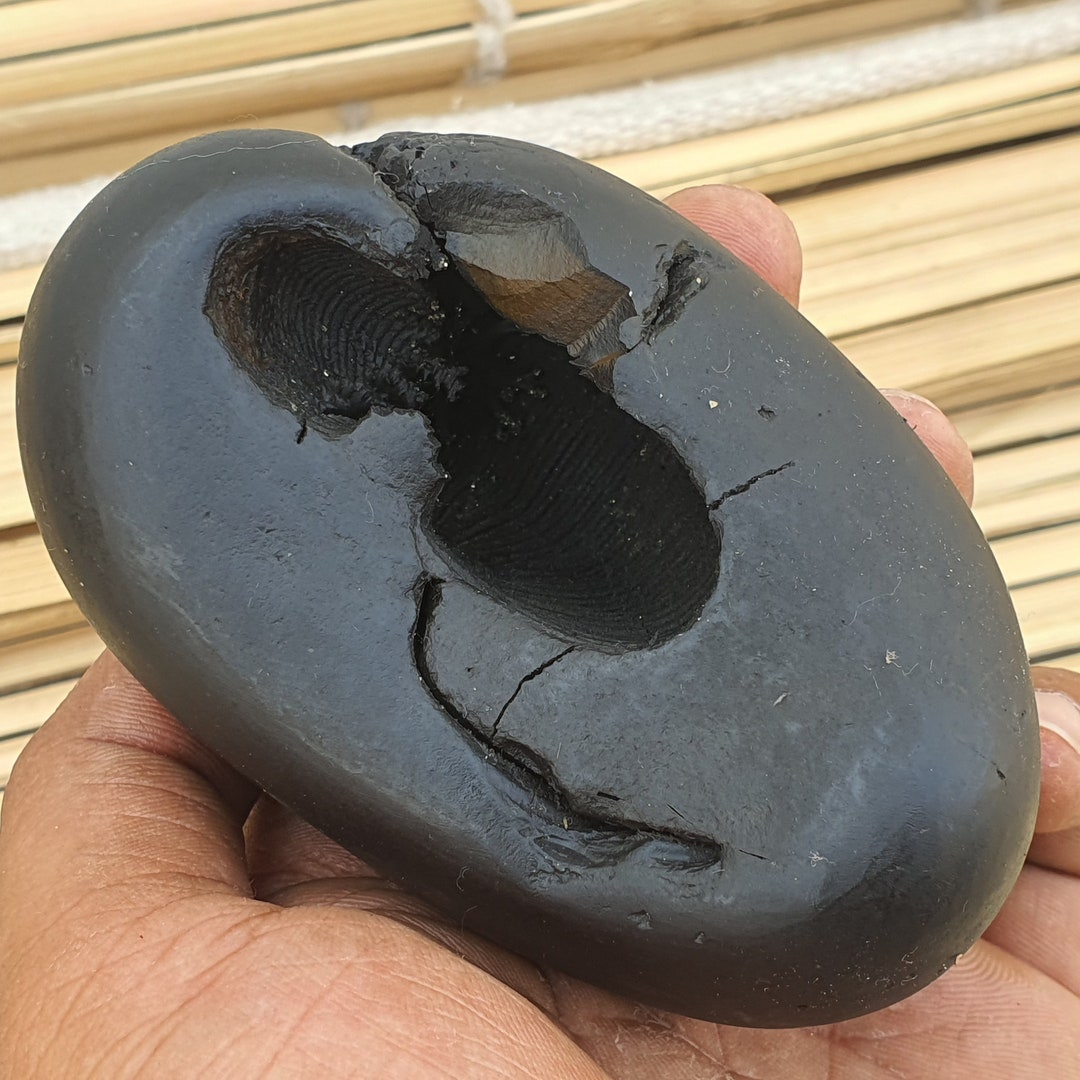 Big Size, Golden Narsimha Shaligram, Narsimha Saligram Stone Gandaki ...