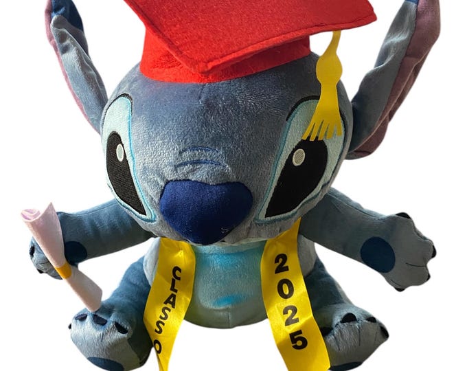 Personalized Graduation Plushies, Custom Gift for Graduates, Class of ...