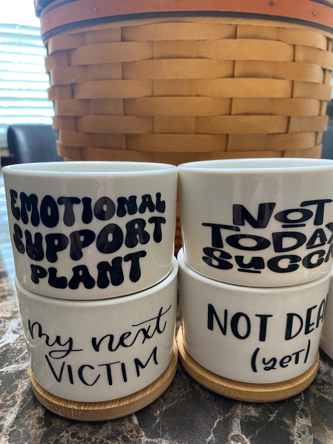 Funny Succulent Pots With Sayings | Cute Plant Lover Gift | Small ...