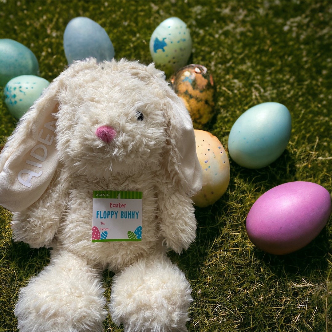 Personalized Plush Bunny, Easter Basket Plush Bunny, Easter Plushie, Easter Basket, Custom Plush ...