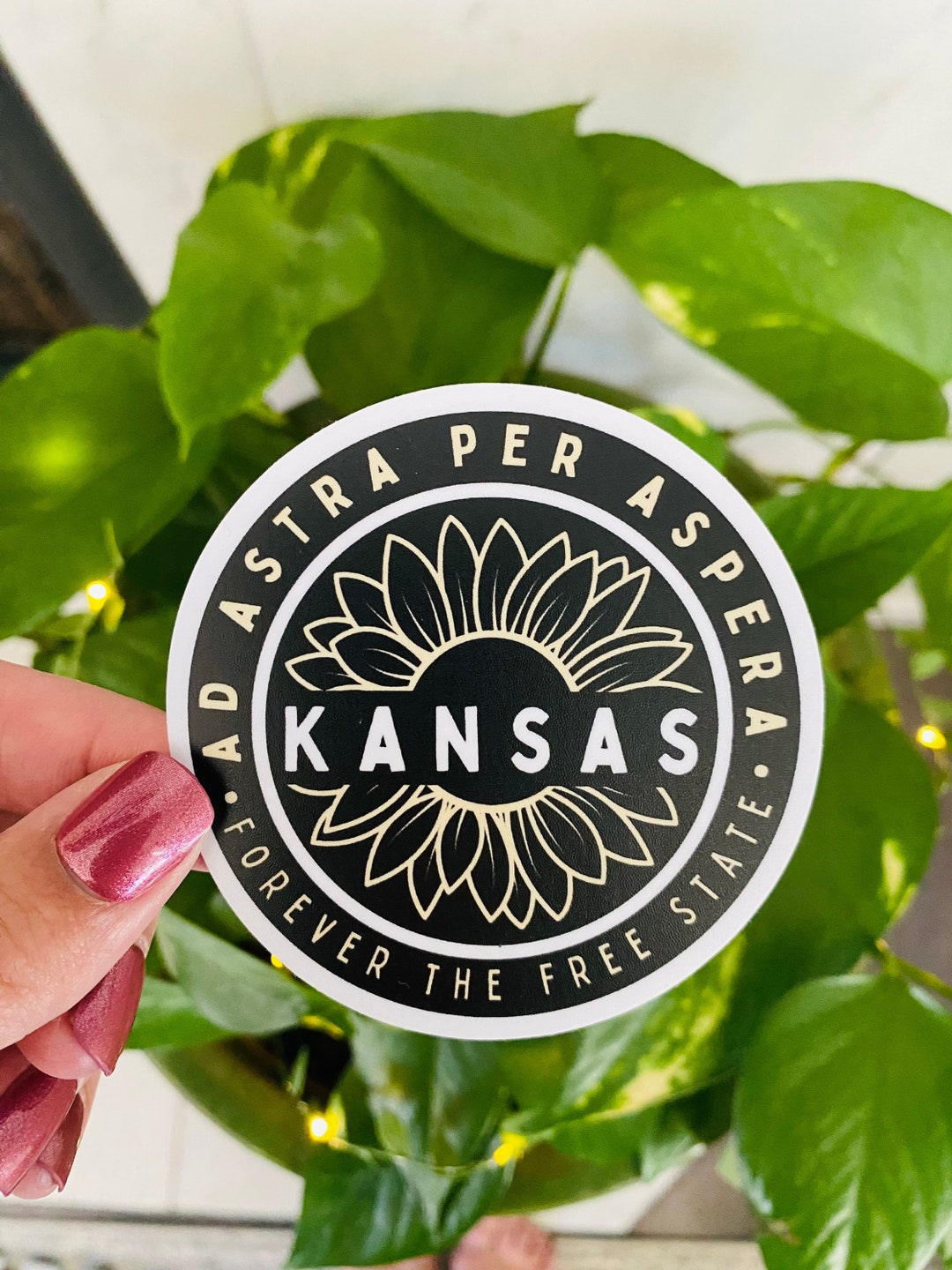 Kansas / Ad Astra per Aspera / Forever the Free State / the Sunflower ...