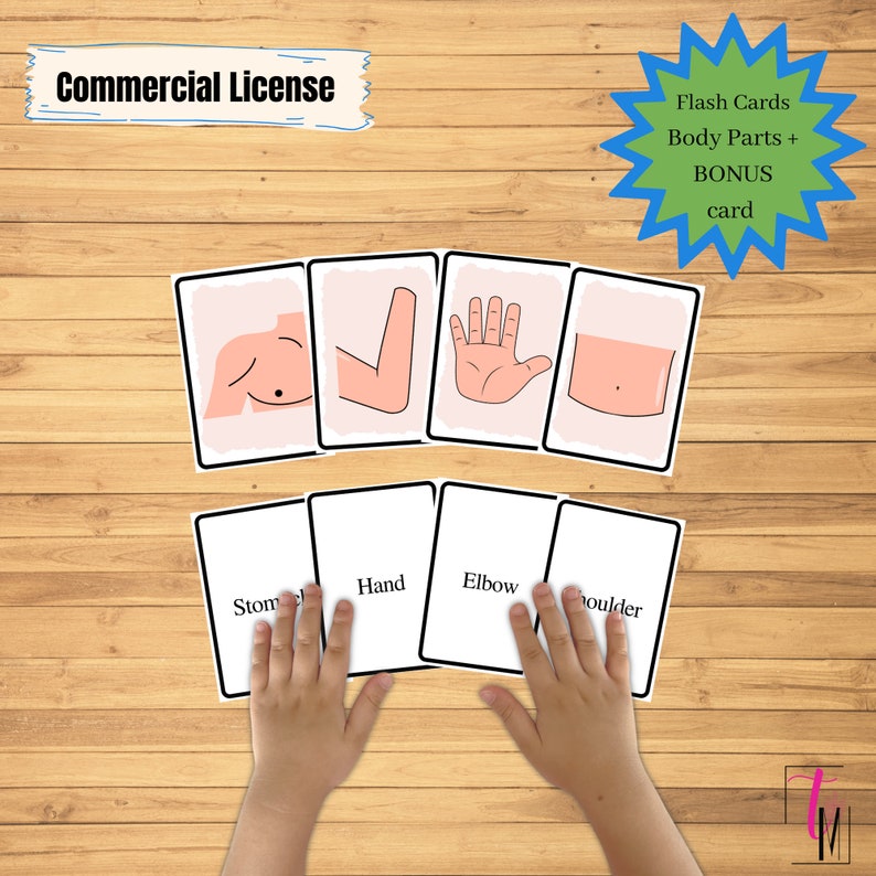 Anatomy Body Parts Flash Cards for Kids Toddler Preschool and ...