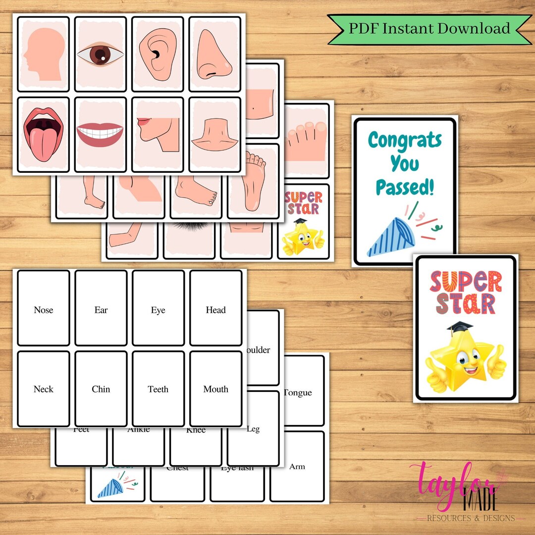 Anatomy Body Parts Flash Cards for Kids| Toddler Preschool and ...