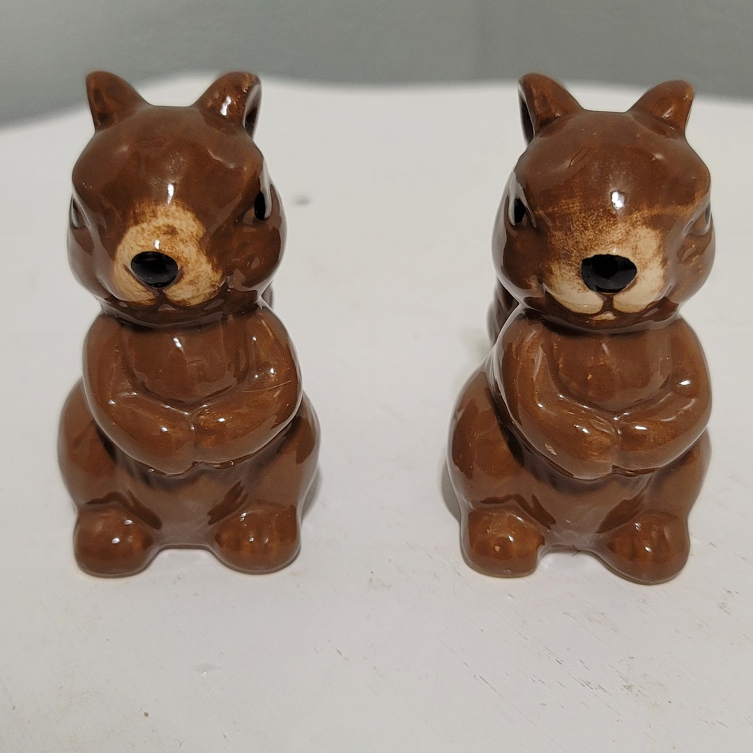 Squirrel Salt & Pepper Shakers - Etsy