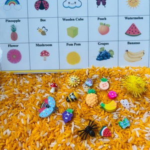 Sensory I Spy Bottle: Montessori Summer & Galaxy Themes - Etsy Canada