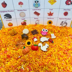 4 Seasons Sensory I Spy Bottles: Montessori Sensory Bin Kit - Etsy Canada