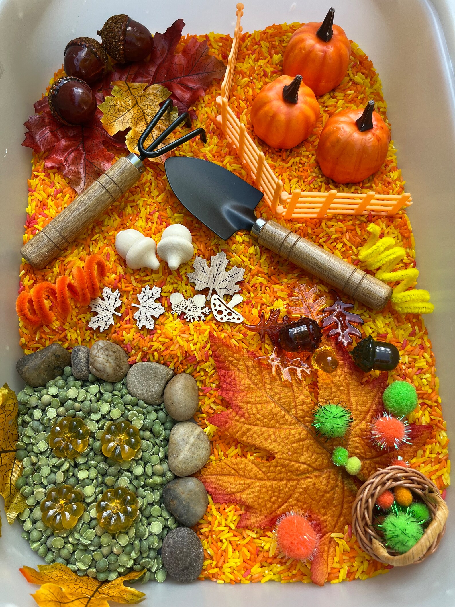 Pumpkin Sensory Bin/fall Sensory Bin/sensory - Etsy Canada