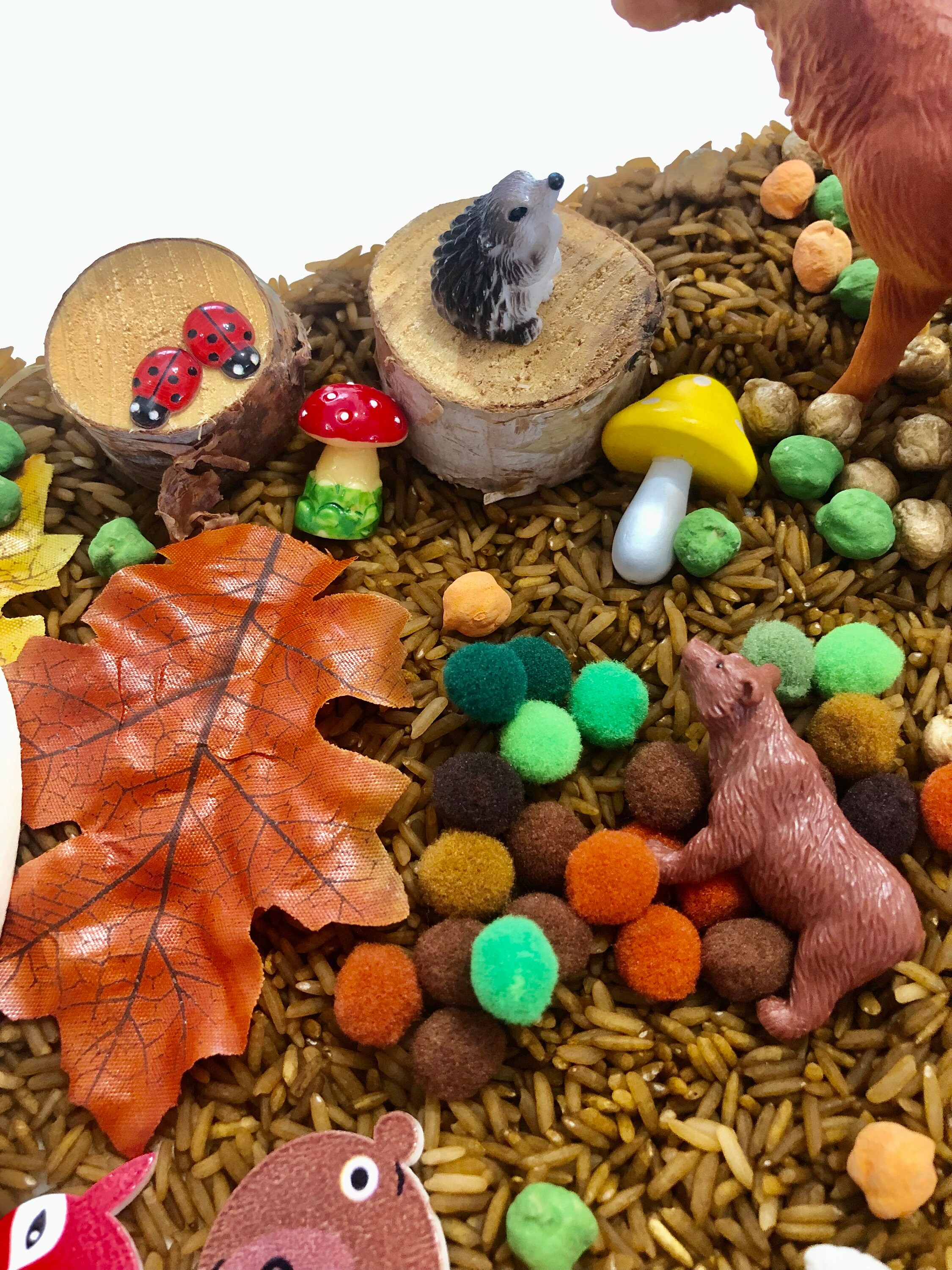 Sensory Kit/fall Sensory Bin/hibernation Animals/forest Animals/sensory ...