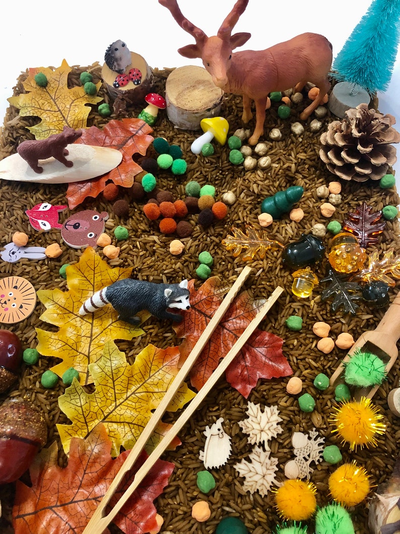 Sensory Kit/fall Sensory Bin/hibernation Animals/forest Animals/sensory ...