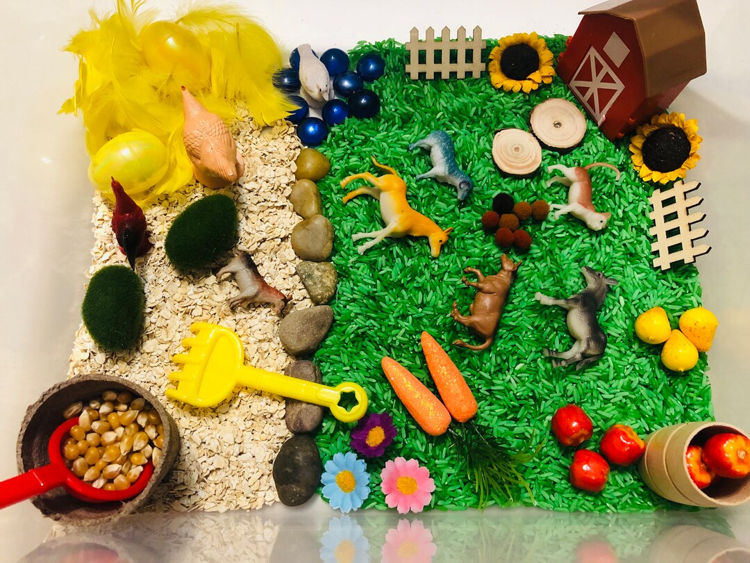 Farm Sensory Bin/farm/montessori/special Needs/animals Sensory/sensory ...