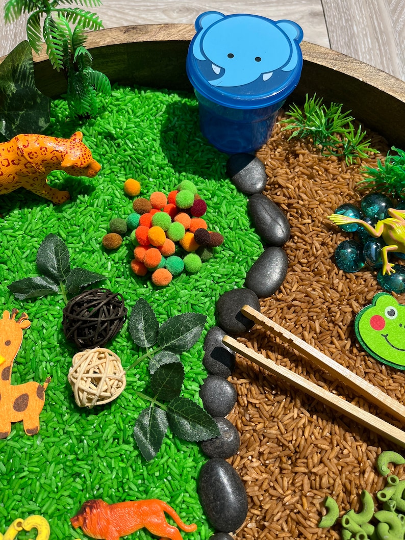 Sensory Bin/montessori/safari Animals Sensory Bin/safari Animals/zoo ...