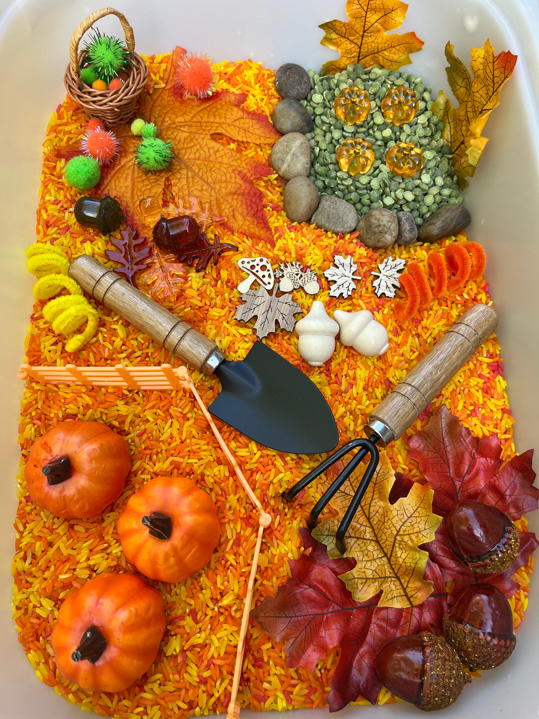 Pumpkin Sensory Bin/fall Sensory Bin/sensory - Etsy Canada