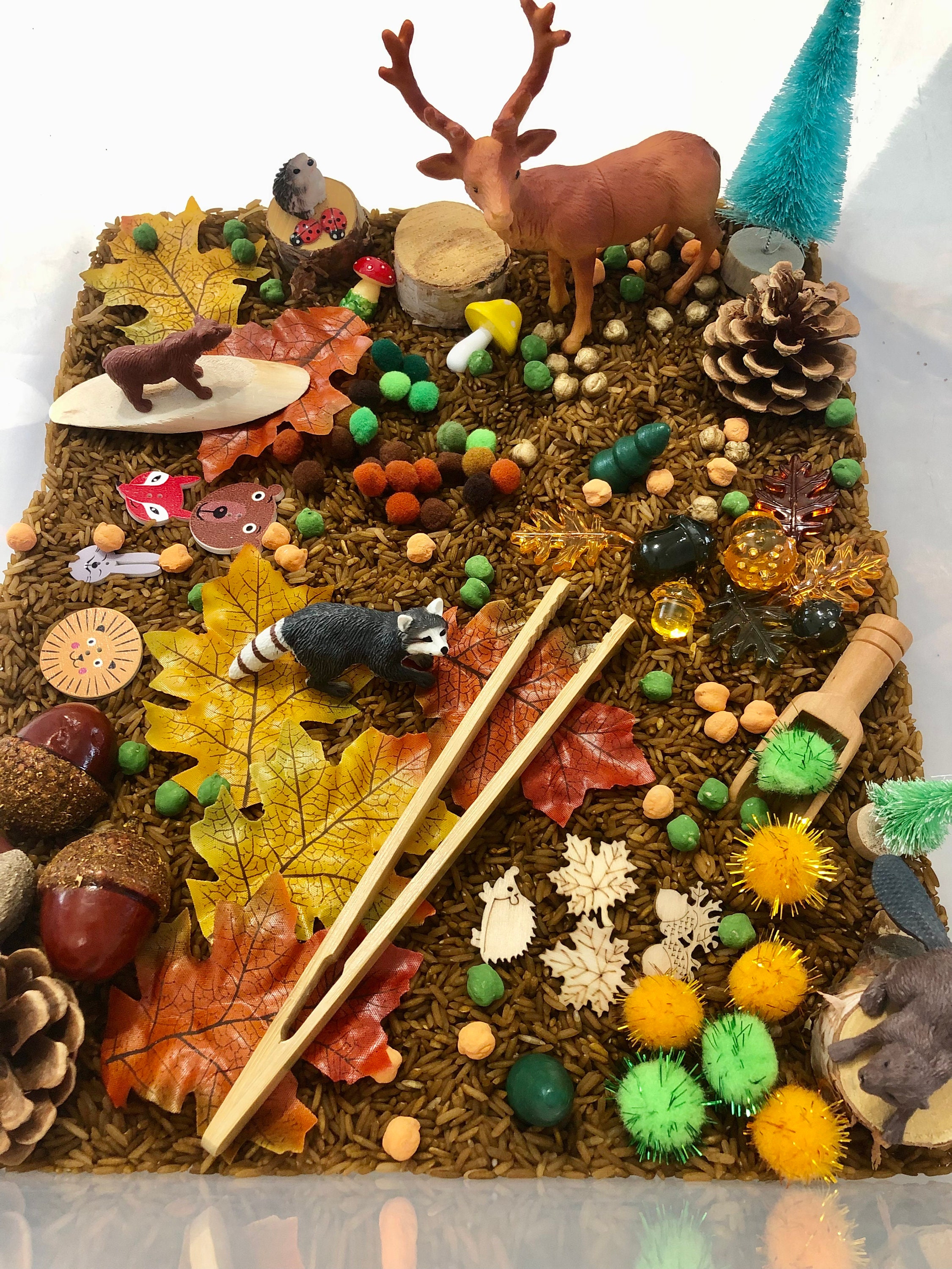 Sensory Kit/fall Sensory Bin/hibernation Animals/forest Animals/sensory ...