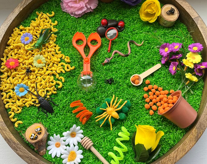Spring Sensory Kit/bug Sensory Bin/insects Sensory Bin/sensory Play ...